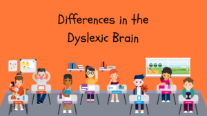 Differences in the Dyslexic Brain - Lexercise